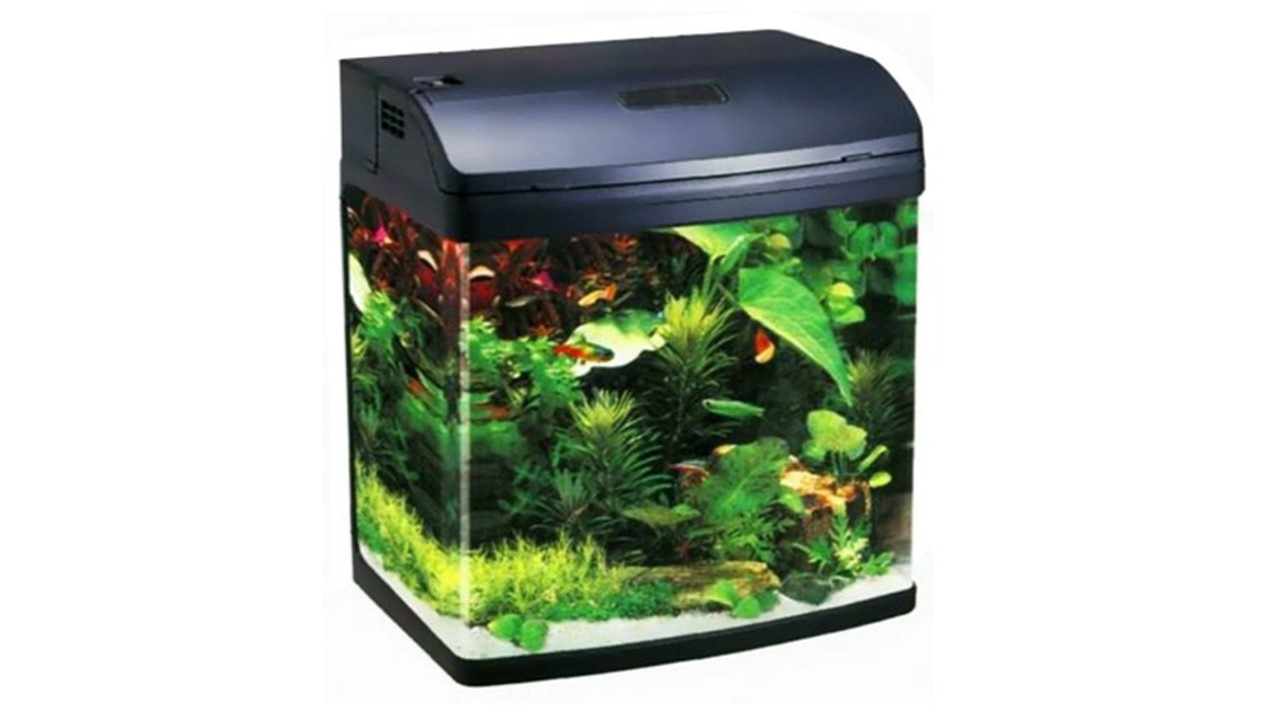 JEBO, אקווריום לדגים + פילטר + תאורה – 38 ס"מ - דגם R338 - חנות חיות ...